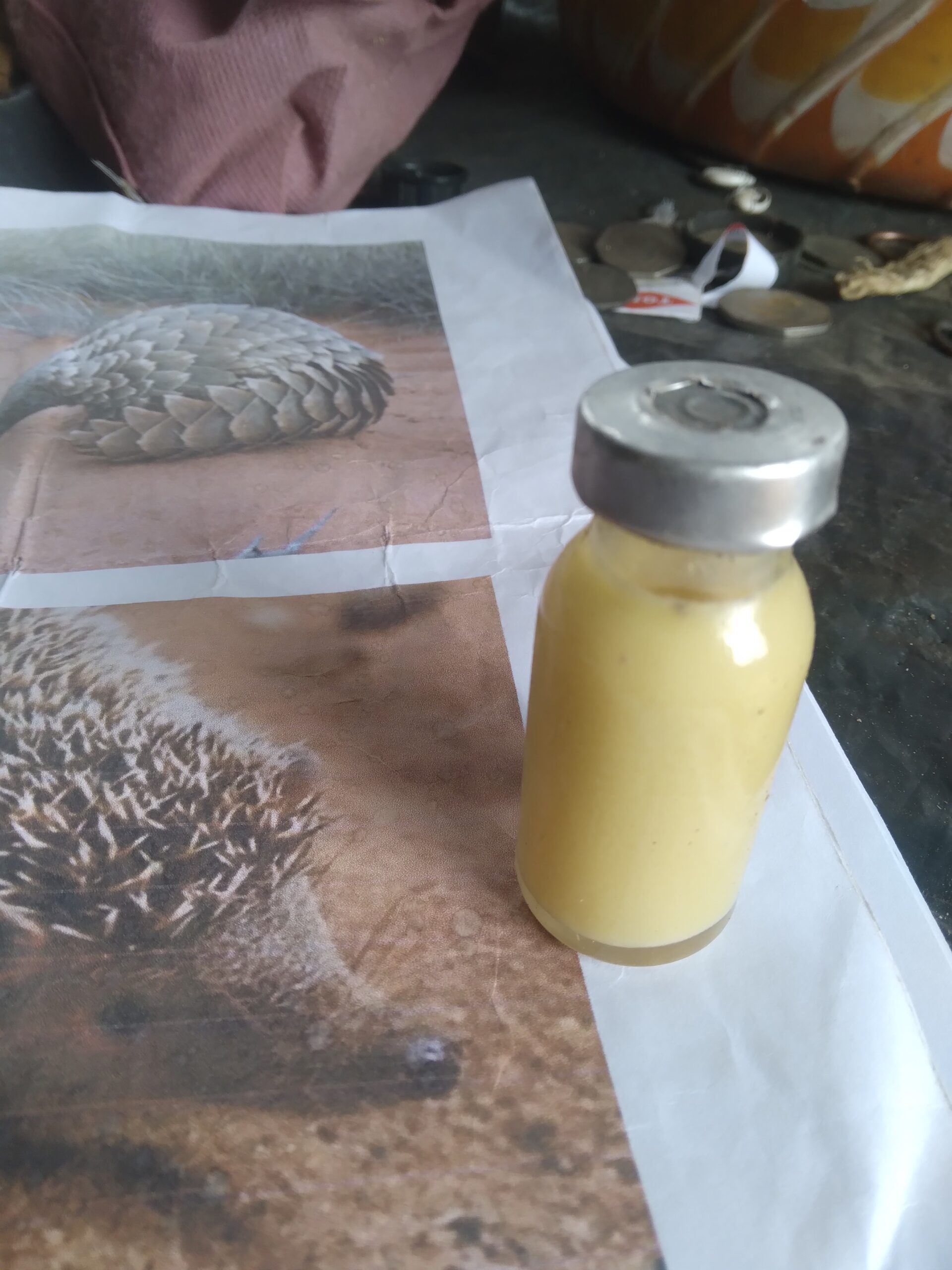 Pangolin and people for Nature - Tanzania Research and Conservation ...