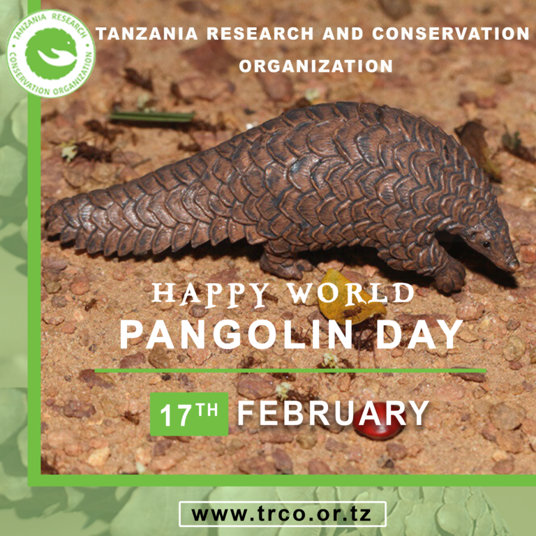 World Pangolin Day 17th February 2024 - Tanzania Research and ...
